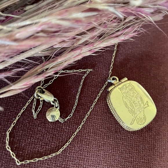 J. Crew | Jewelry | J Crew Gold Owl Locket Necklace Jcrew Jcrew | Poshmark
